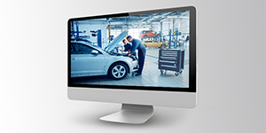 Websites Overview | FORVIA HELLA