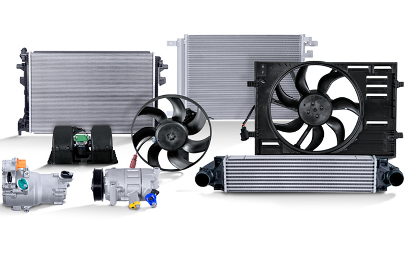 BACK TO COOL! | HELLA